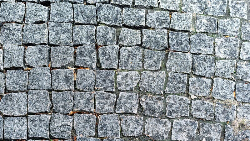 Cobbled Stone Path Texture Interlocking Gray Stones with Grass Details ...
