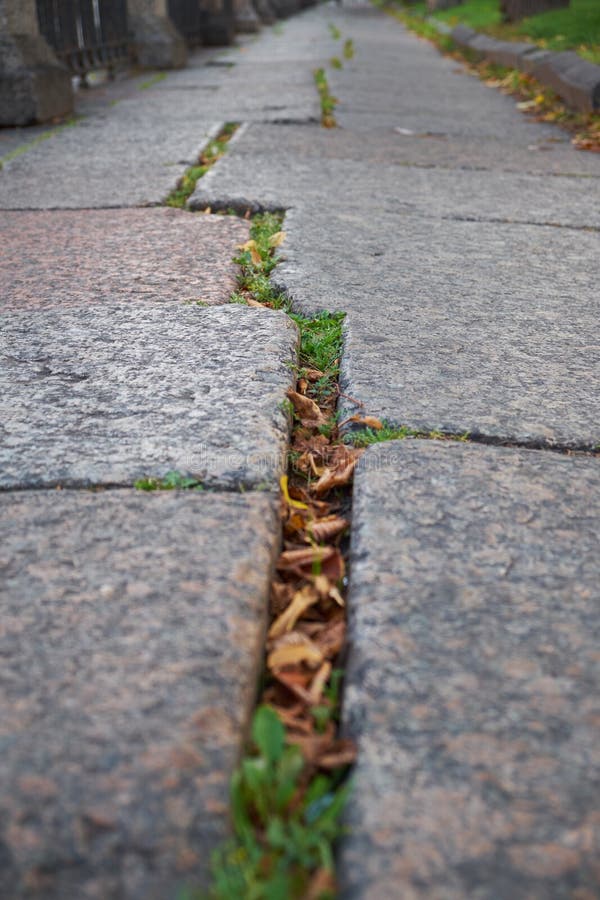 Cobbled Stone Road Shown Small Angle Petersburg Stock Photos - Free ...