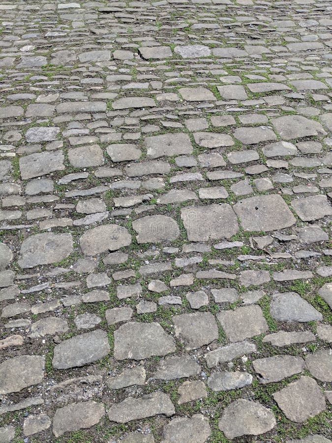 Cobbled path stock image. Image of shingle, weed, path - 659725