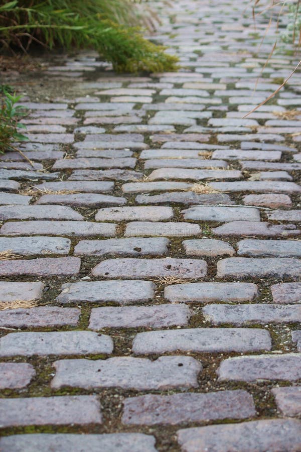 A Cobblestone Brick Pathway Edged with Vegetation Stock Image - Image ...
