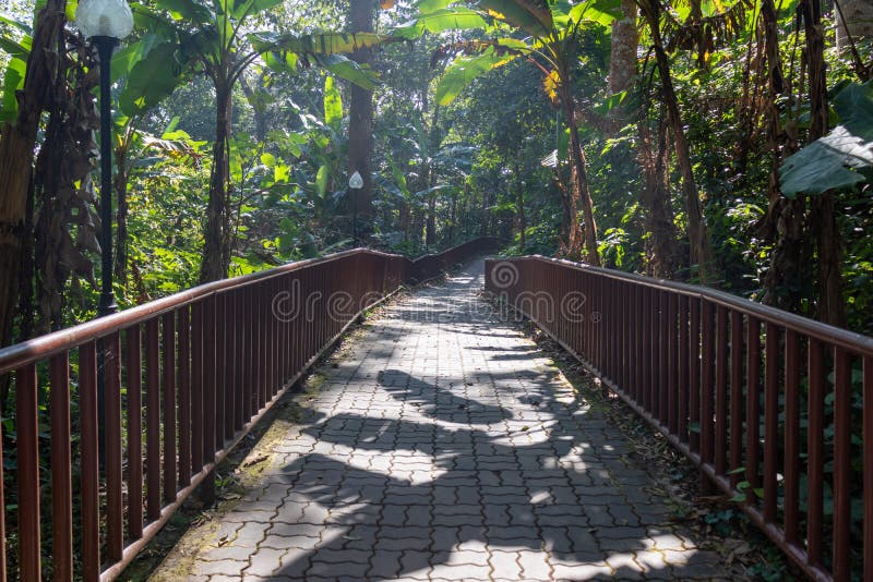 Cobblestone Floor Walkway with Railings in the Tropical Forest Stock ...
