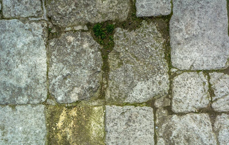 Cobblestone with Grass Texture Stock Image - Image of closeup, material ...
