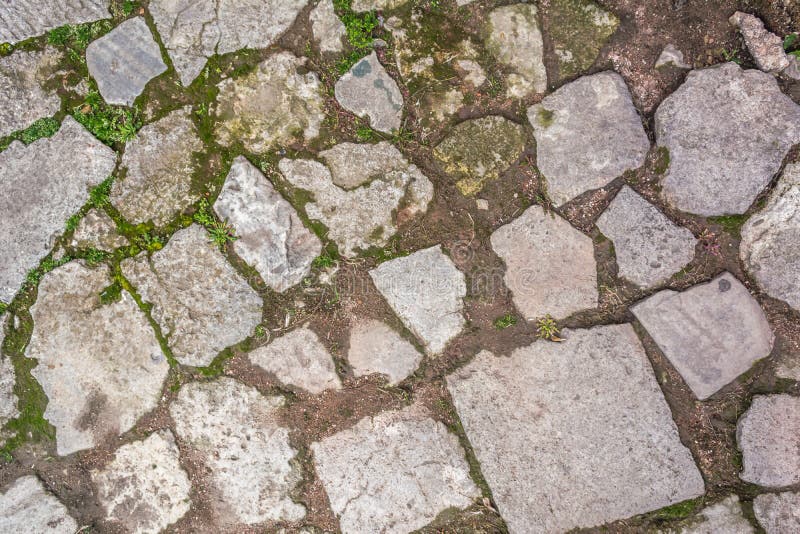 Cobblestone with Grass Texture Stock Image - Image of antique ...