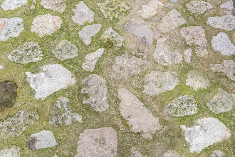 Cobblestone with Grass Texture Stock Image - Image of cement, cobble ...