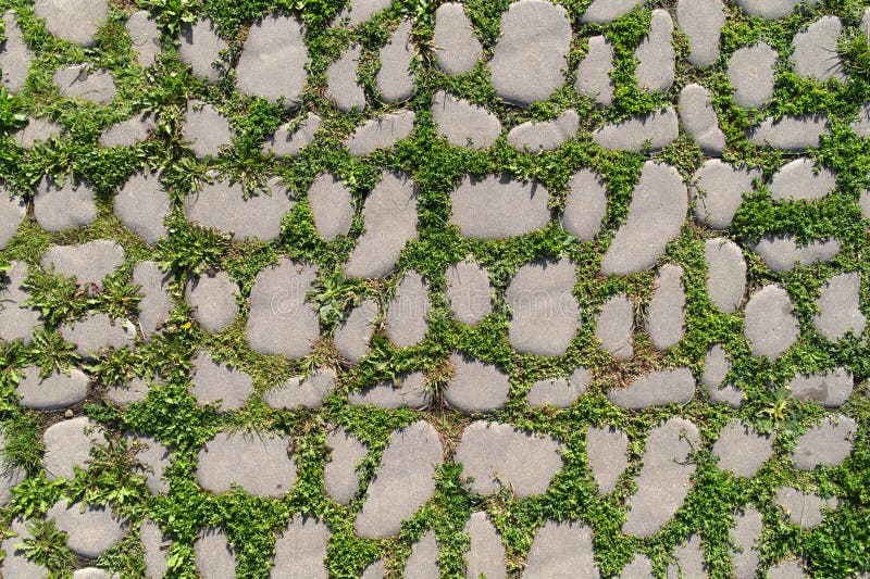 Stone Path in Green Grass Garden Texture Stock Photo - Image of ground ...