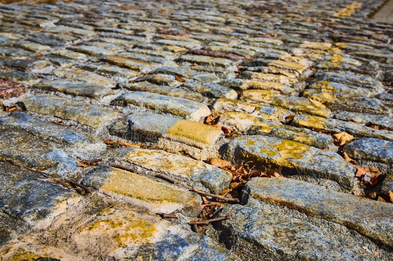 Cobblestone Path with Autumn Leaves Low Angle View Stock Image - Image ...