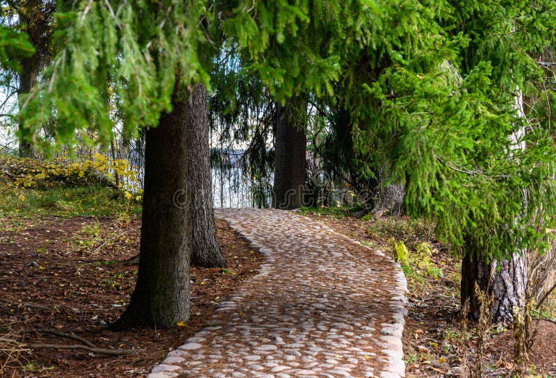 Cobblestone Path. Beautiful Forest and Fresh Air. Pavement of Pavers ...
