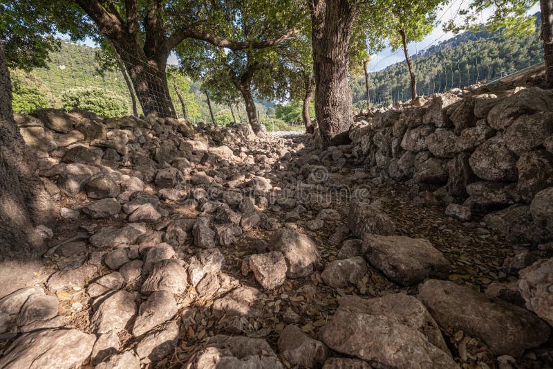 Cobblestone Path Bordered by Stone Walls Stock Photo - Image of grazing ...