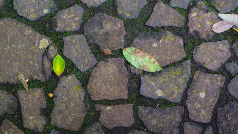 Cobblestone Path with Fallen Leaves. As Background Stock Image - Image ...