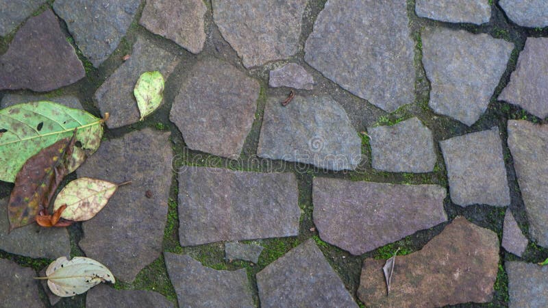 Cobblestone Path with Fallen Leaves. As Background Stock Image - Image ...