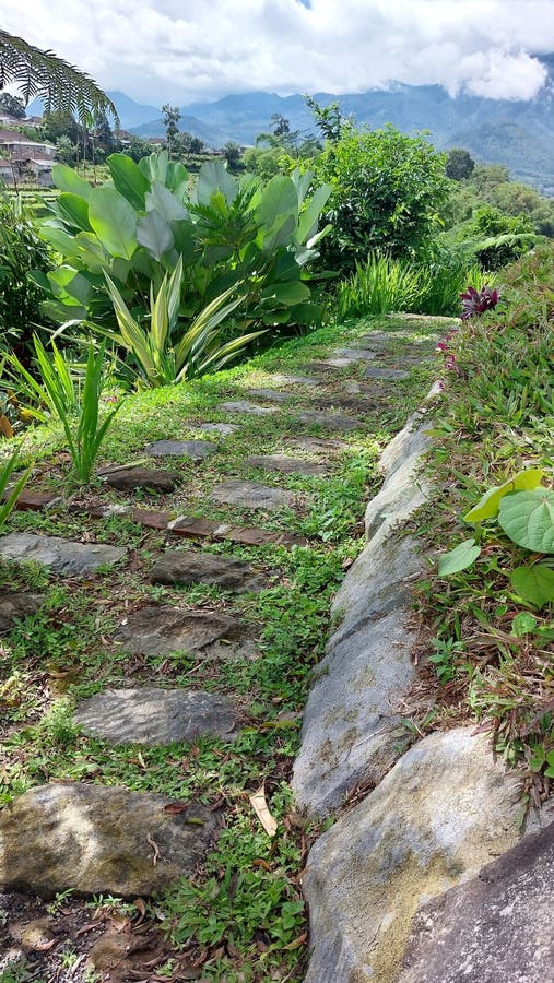 Cobblestone Path Leading To the Village Park, Bright Sky Stock Photo ...