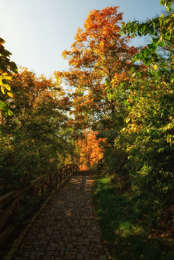 A Cobblestone Path in a Park with Autumn-colored Trees and a Blue Sky ...