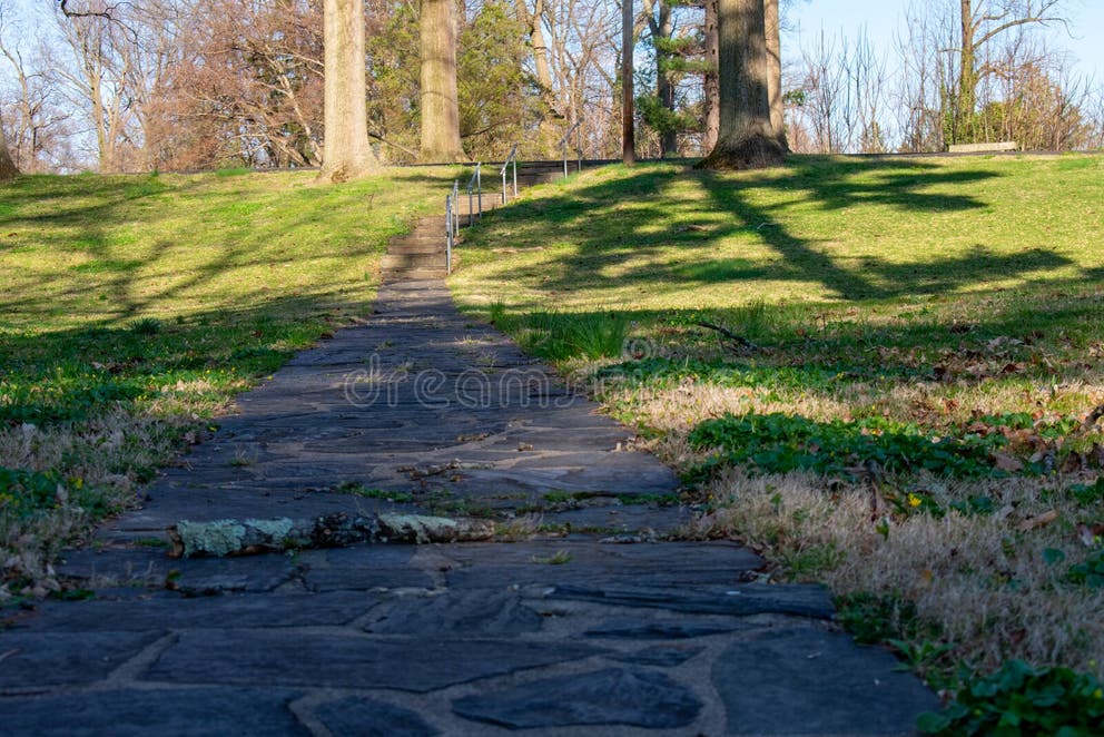 A Cobblestone Path in a Park Stock Image - Image of serene, trees ...