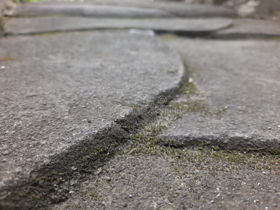 Cobblestone Path in the Park Stock Photo - Image of green, rock: 222061950