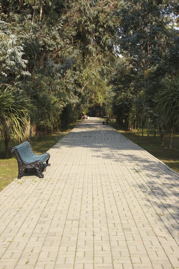 Cobblestone Path in the Park, Sunny Autumn Day Stock Photo - Image of ...