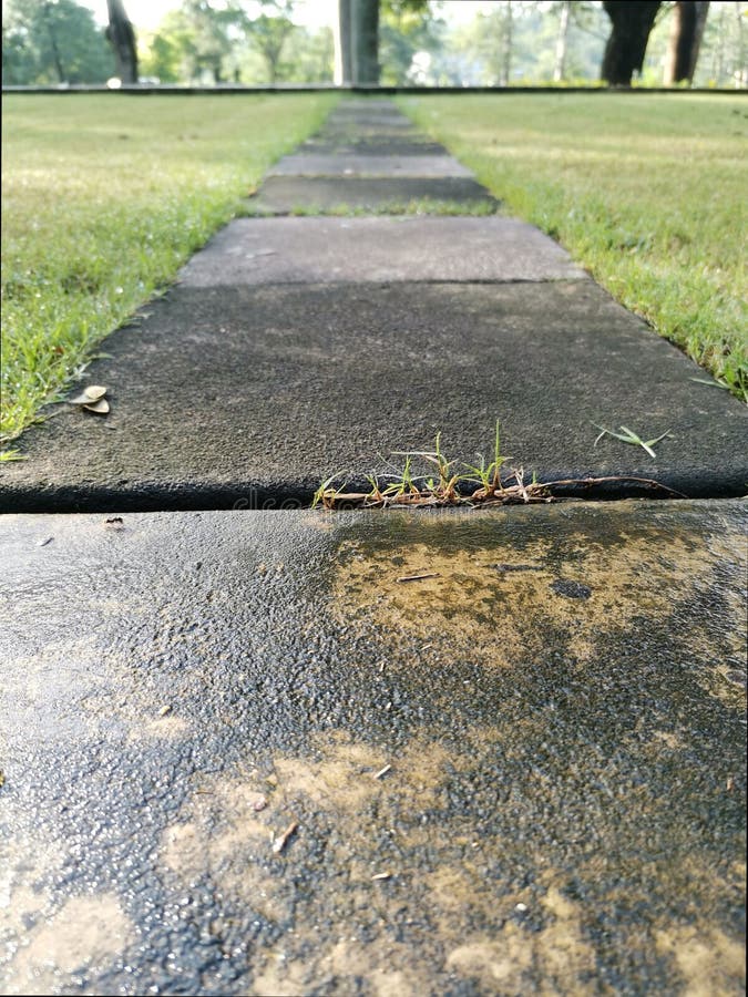 Cobblestone Paths that Line Up Neatly in the Garden Stock Photo - Image ...