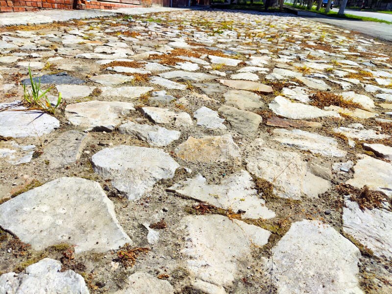 Cobblestone Pathway with Grass and Moss in a Sunny Outdoor Park Setting ...