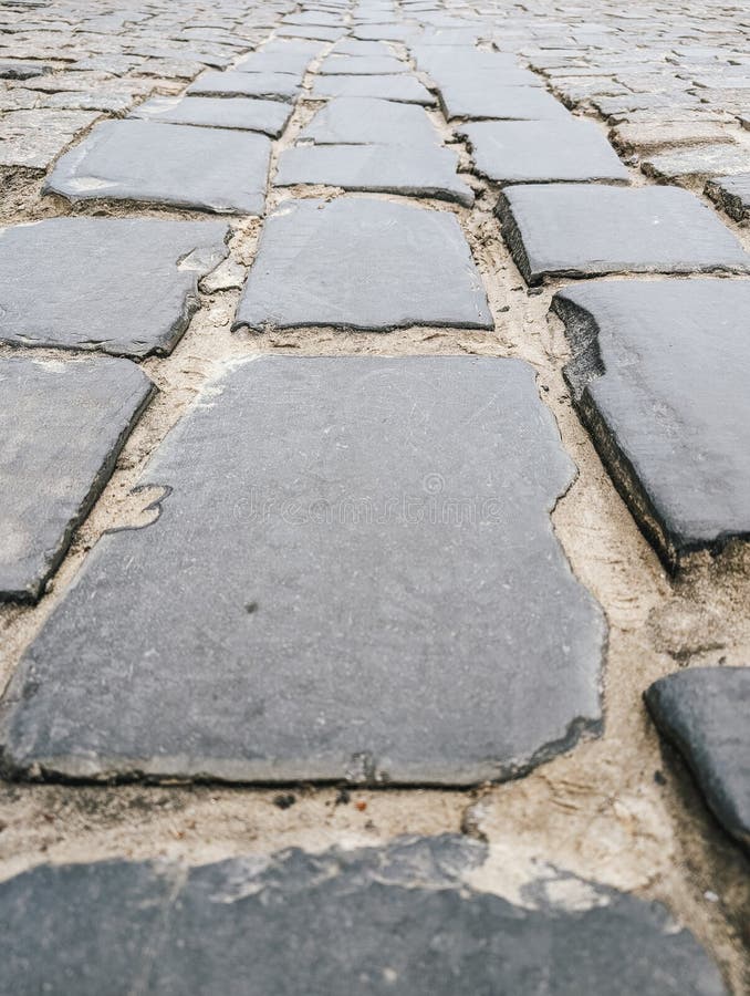 Cobblestone Pathway with Irregular Stones and Sandy Gaps, Low ...