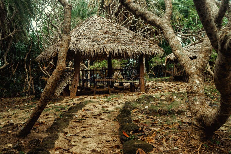 Cobblestone Pathway in Lush Tropical Garden Stock Image - Image of ...