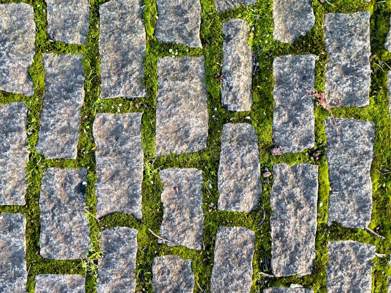Cobblestone Pathway with Mossy Growth and Natural Textures Stock Image ...