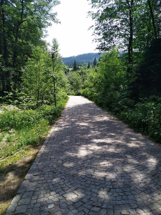 Cobblestone Pathway Surrounded by Nature Stock Photo - Image of soil ...