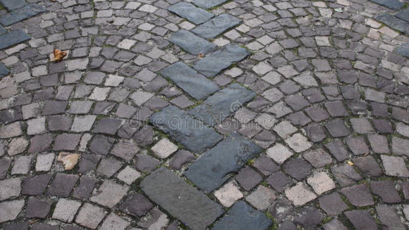 Cobblestone Paved Road Texture with Fall Leaves Stock Image - Image of ...