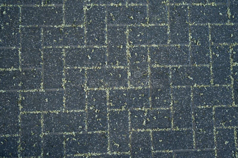 Street pavement texture stock image. Image of mosaic - 195451237