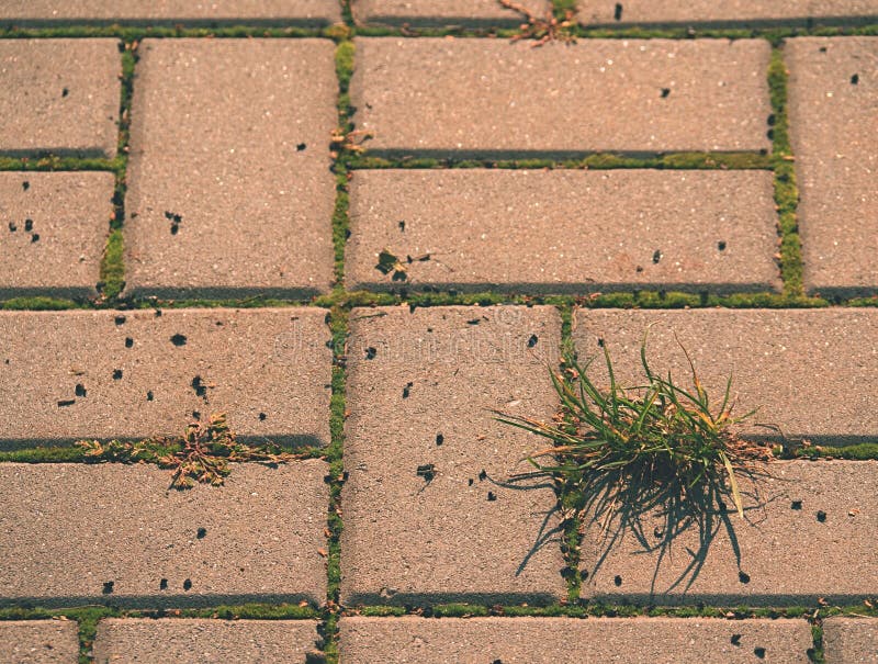 34,841 Texture Cobblestone Paving Photo Stock Photos - Free & Royalty ...