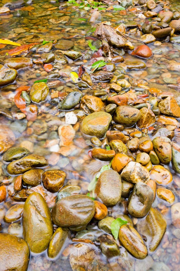 Cobblestone in the river stock photo. Image of outdoor - 30555324