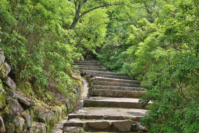 Cobblestone Stairs in the Woods, Stock Photo - Image of landscape ...