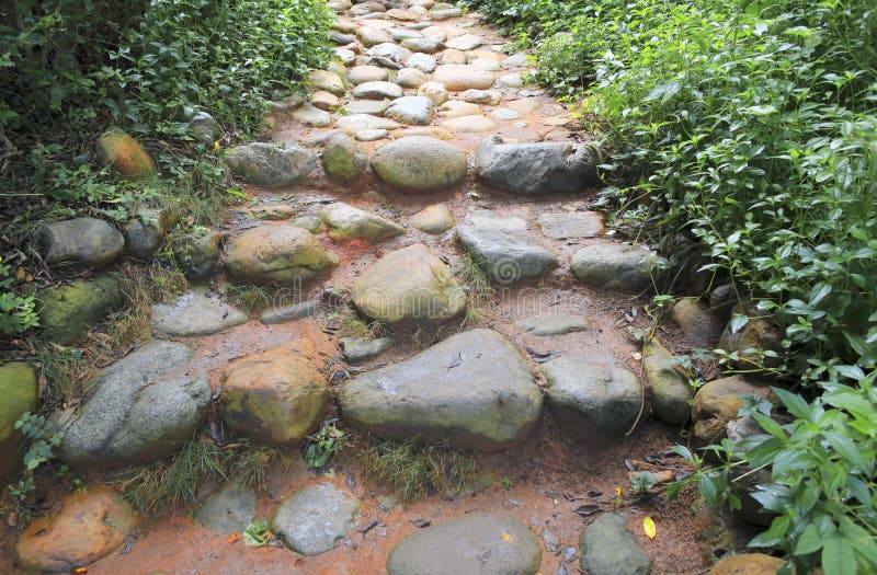 Cobblestone steps stock photo. Image of natural, foot - 33412662