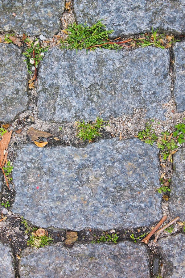 Cobblestone Detail Surface Outdoor Pavement Stock Photo - Image of ...