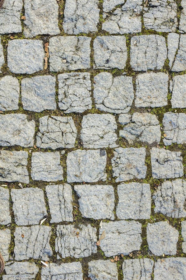 Cobblestone Texture with Grass between Blocks Stock Photo - Image of ...