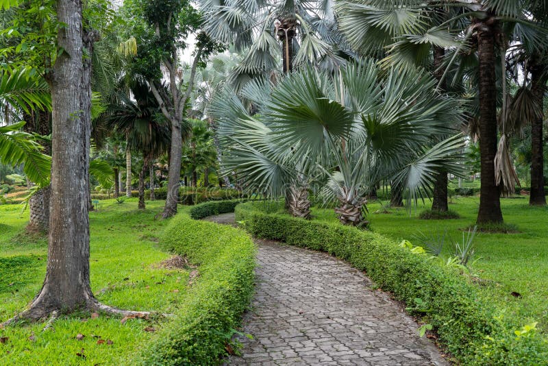 Cobblestone Walking Path in a Tropical Park Stock Image - Image of ...