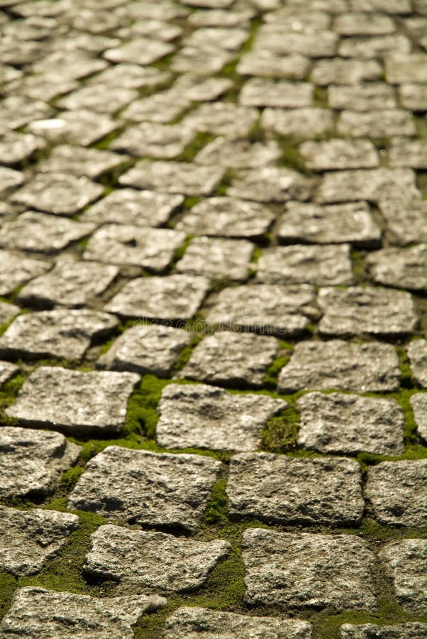 Cobblestones with moss stock image. Image of tread, lines - 8155479