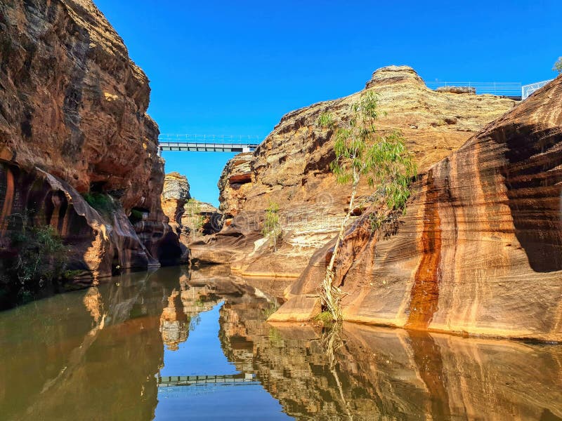 Cobbold Gorge and Glass Bridge Stock Photo - Image of adventure ...