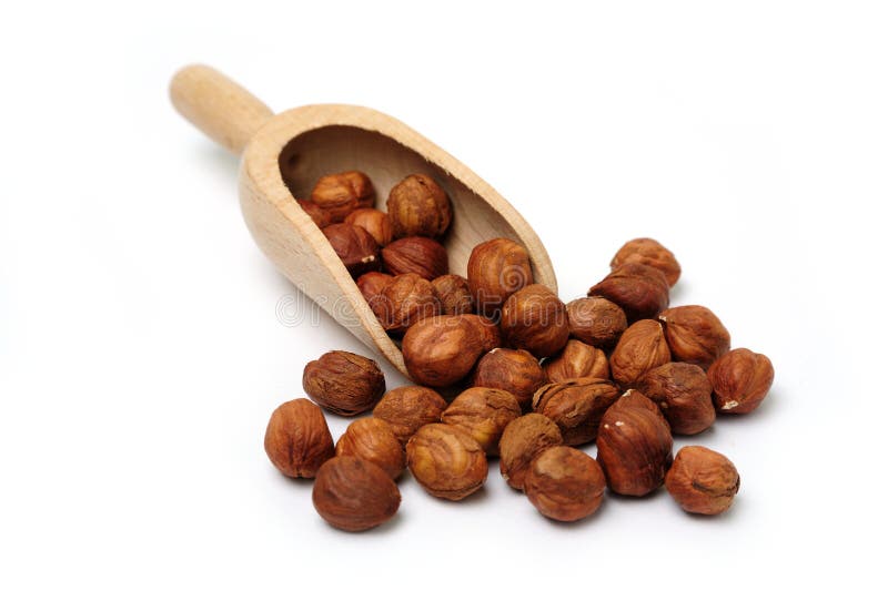 Cobnut stock photo. Image of snack, appetizer, wooden - 23410914