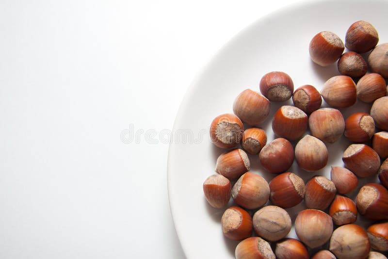 Cobnuts stock photo. Image of natural, hazel, element - 64220238