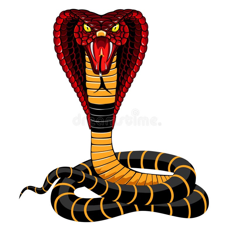Cobra snake illustration stock vector. Illustration of dangerous - 6196789