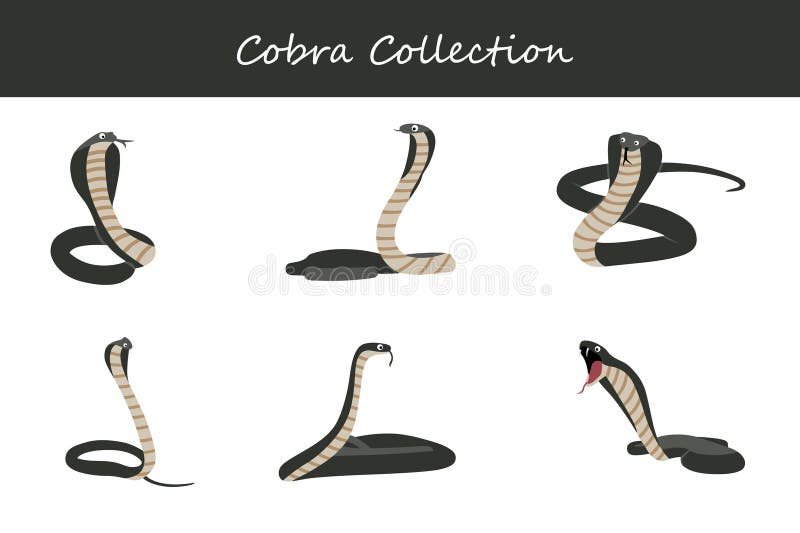 Cobra Collection. Cobra in Different Poses. Vector Illustration Stock ...