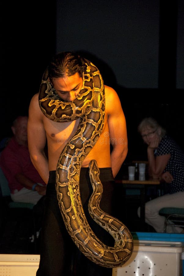 Cobra man spectacle editorial stock image. Image of deadly - 13155789