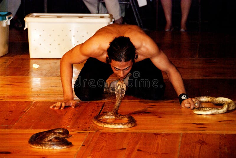 Cobra man spectacle editorial photography. Image of defensive - 13155787