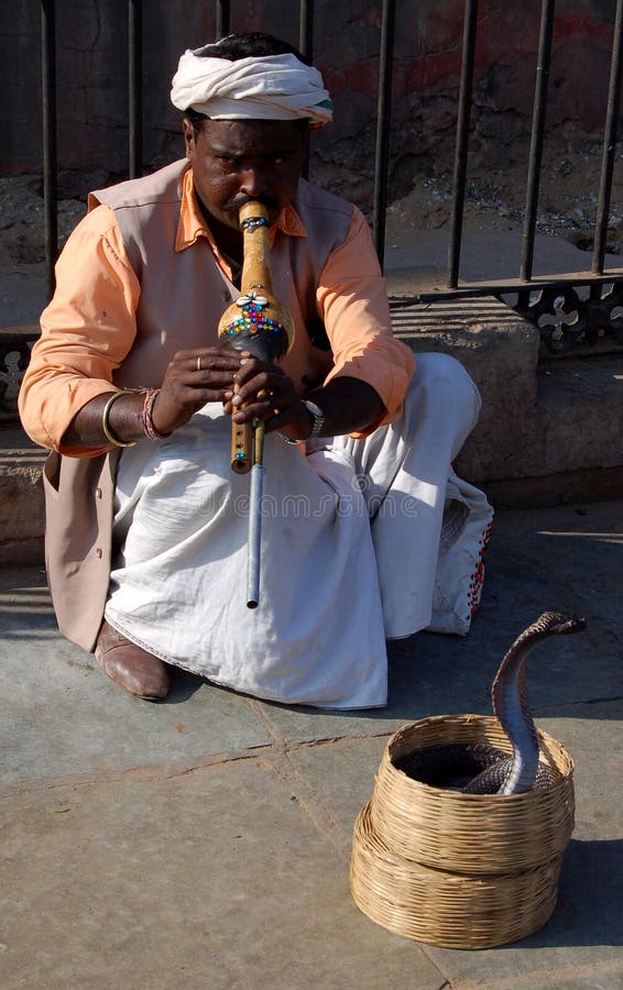 Cobra snake dance editorial image. Image of seller, flute - 11969925