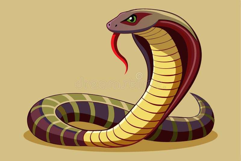A Cobra Snake Displays Its Distinctive Hood while Coiling Gracefully on ...