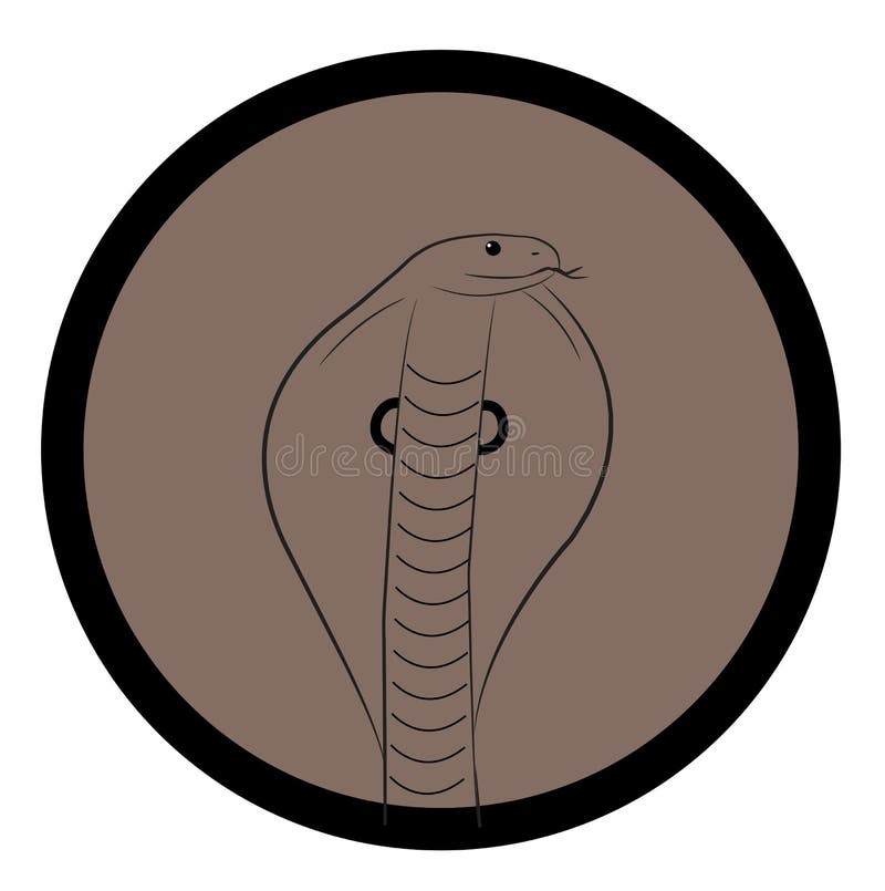 Cobra Snake Face Closeup Vector Stock Vector - Illustration of nature ...