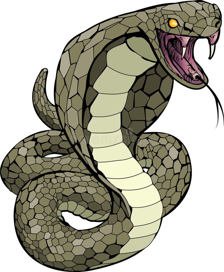 Mean Snake Stock Illustrations – 261 Mean Snake Stock Illustrations ...