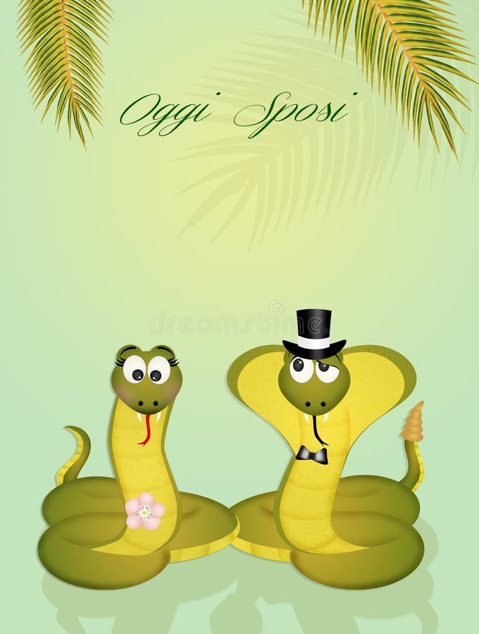 Wedding of snakes stock illustration. Illustration of reptile - 96517510
