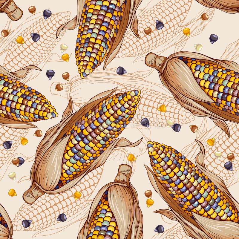 Corn seamless pattern stock vector. Illustration of pattern - 41976916