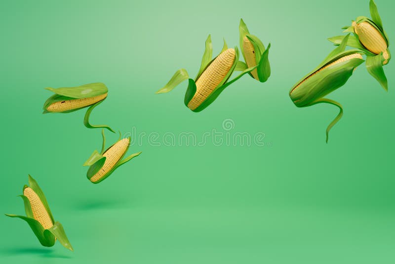 The Cobs of Corn Fly Over a Green Background. 3D Render Stock ...