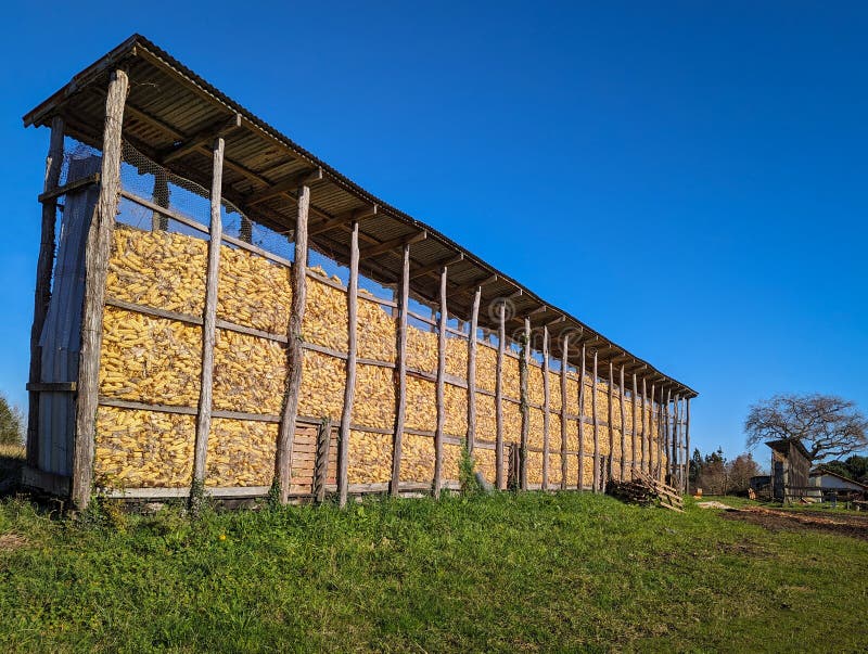 Tradition Under the Sun: Corn Drying in the Old Granary Stock Photo ...